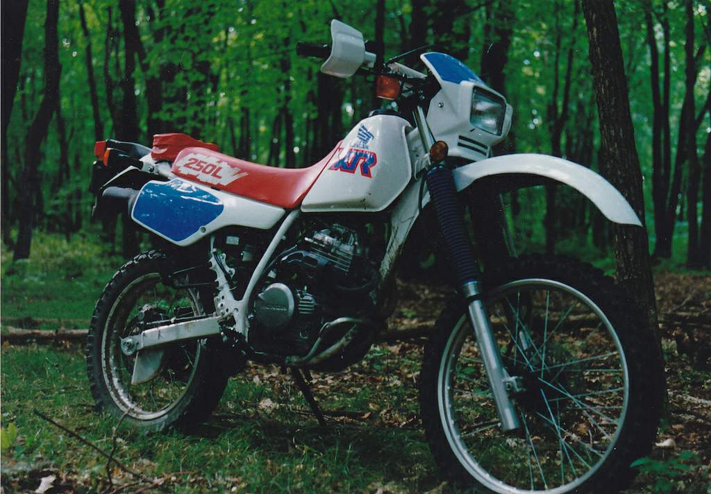 1993 - 1994 Honda XR 250L